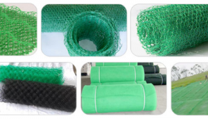 What are Geonet and its applications?